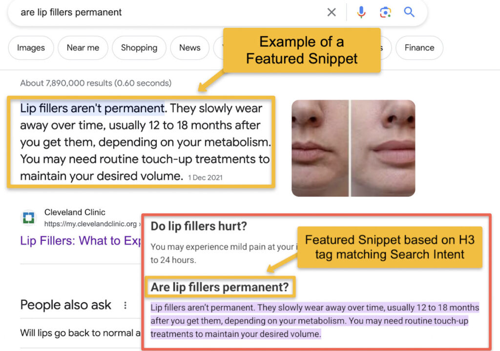 What are Header Tags and How to Make their Best Use for SEO?