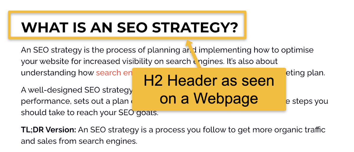 What are Header Tags and How to Make their Best Use for SEO?